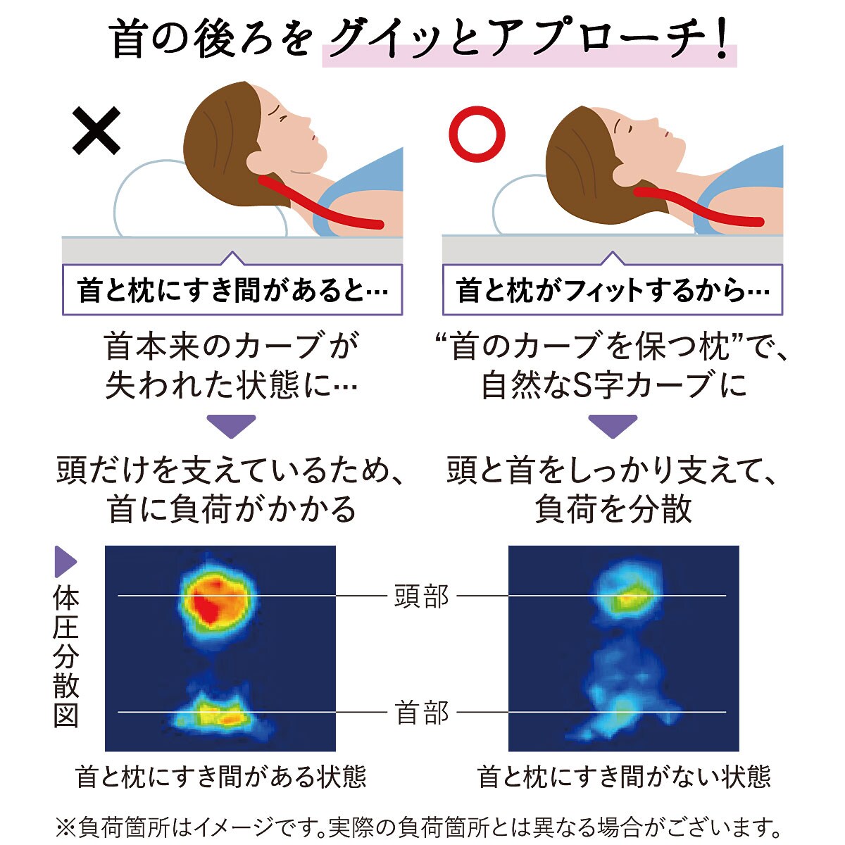 RAKUNA 整体枕 - 寝具の通販ならセシール(cecile)